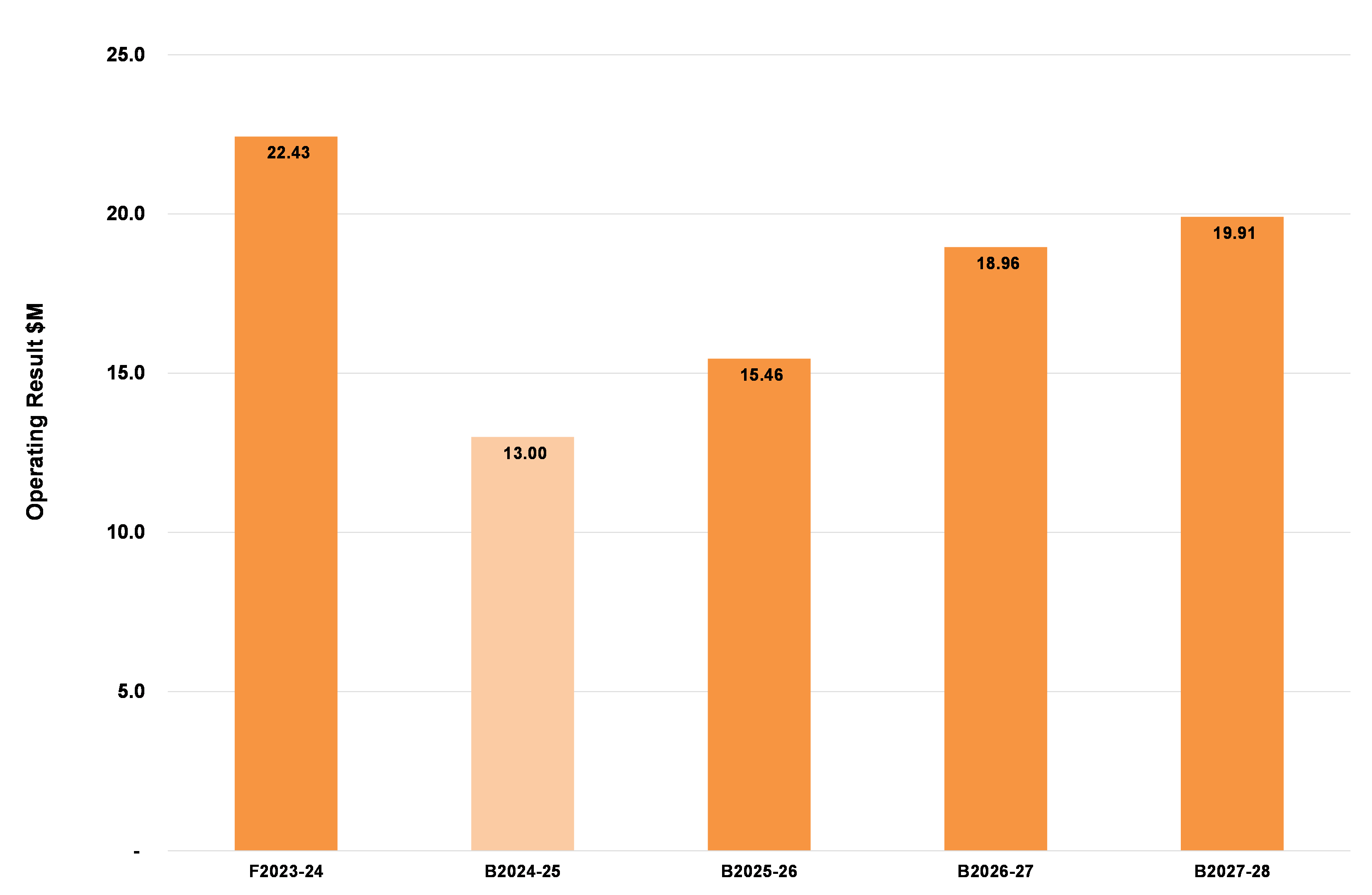 Council Budget 2024–25